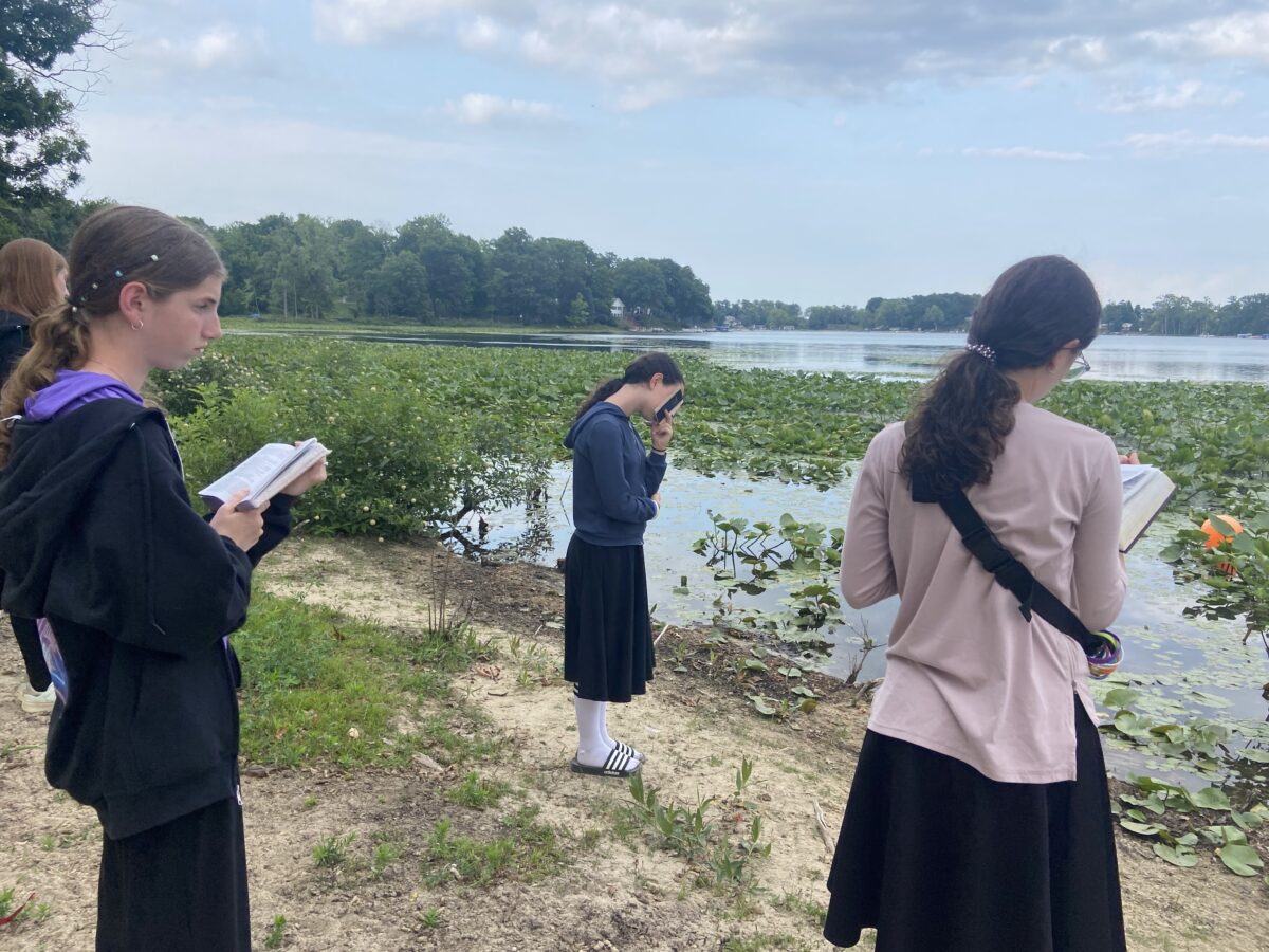 Media 2023 – Maayan Midwest